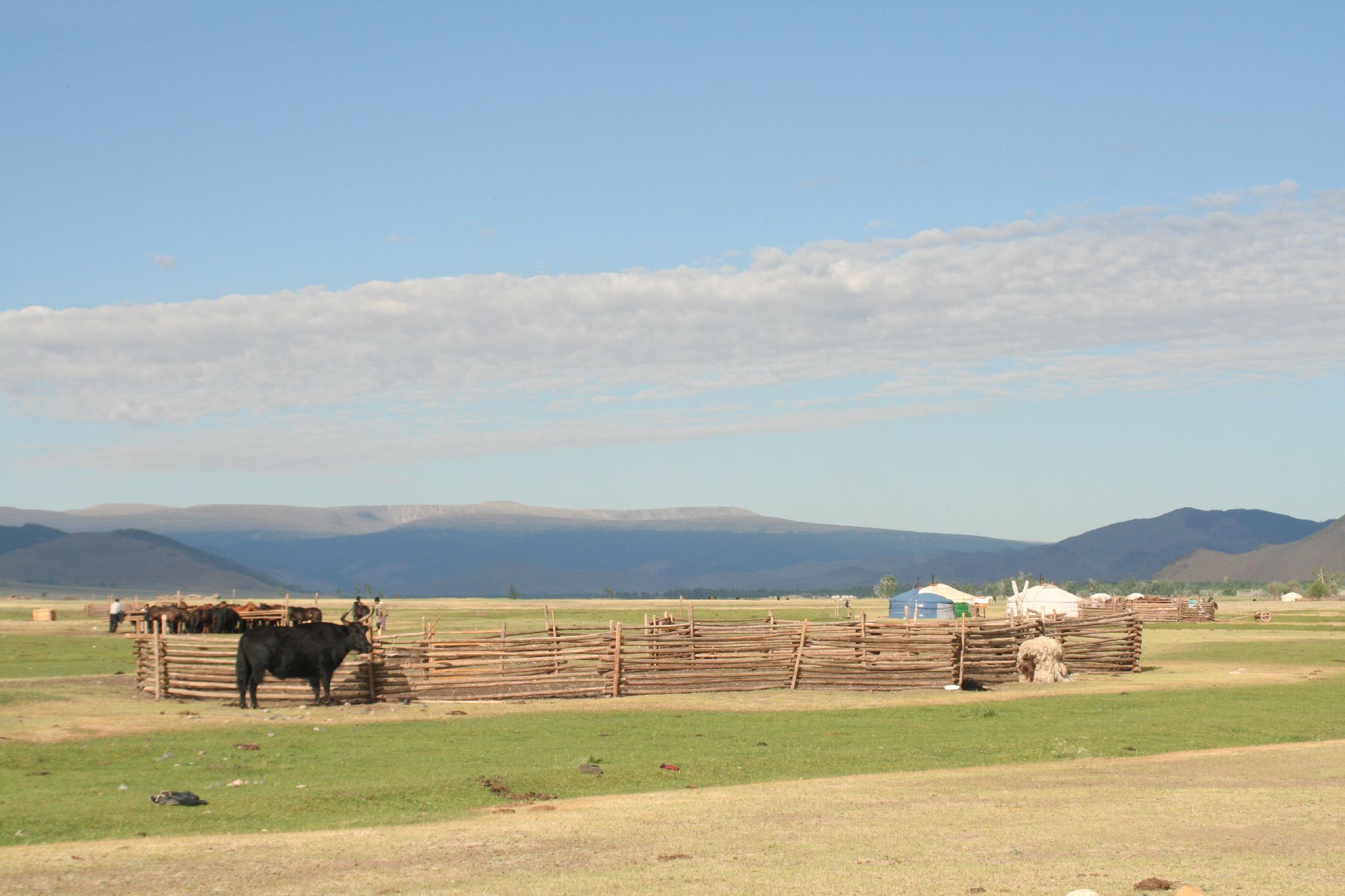 Tales from the Mongolian Countryside | Go There and Back